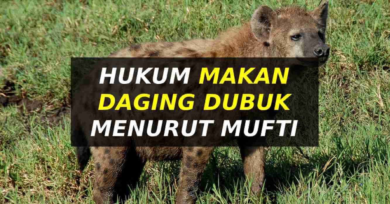 Hukum Makan Daging Dubuk Hukum Makan Daging Dubuk