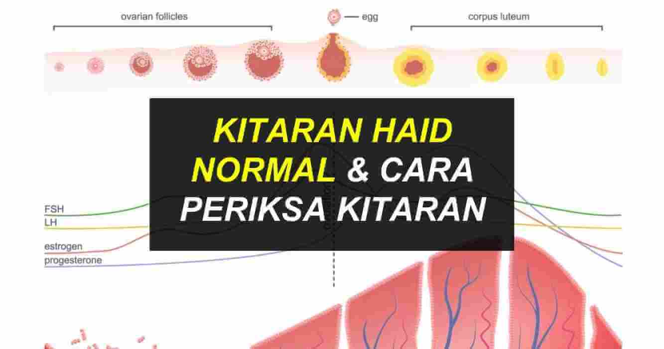 Kitaran Haid Normal & Cara Periksa
