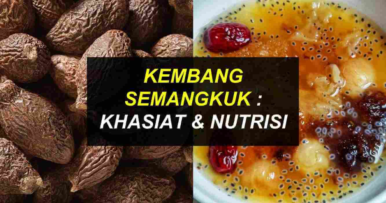 Kembang Semangkuk : Khasiat Yang Perlu Anda Tahu